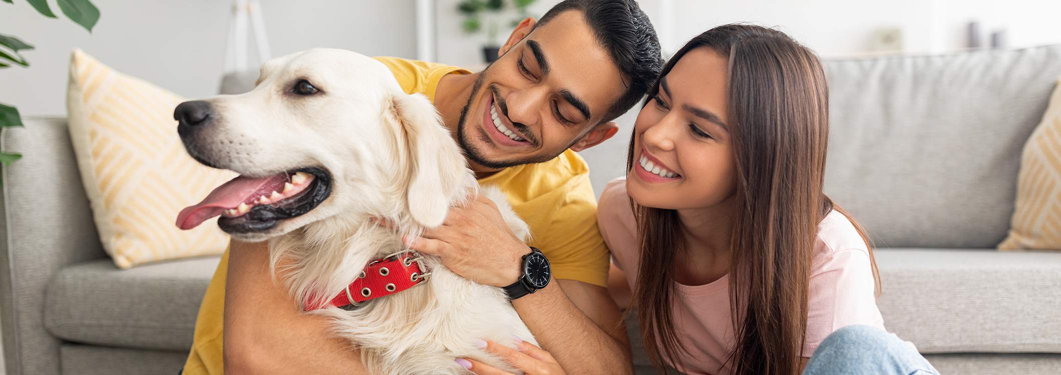 Don’t Forget About Your Pets During Open Enrollment - My Pet Insider